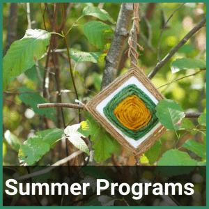 Education Programs - SHADOW