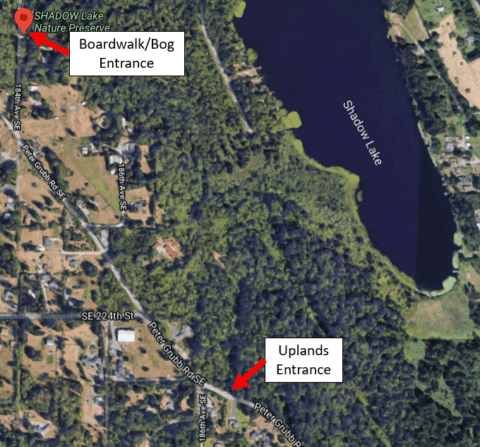 Visit Shadow | SHADOW