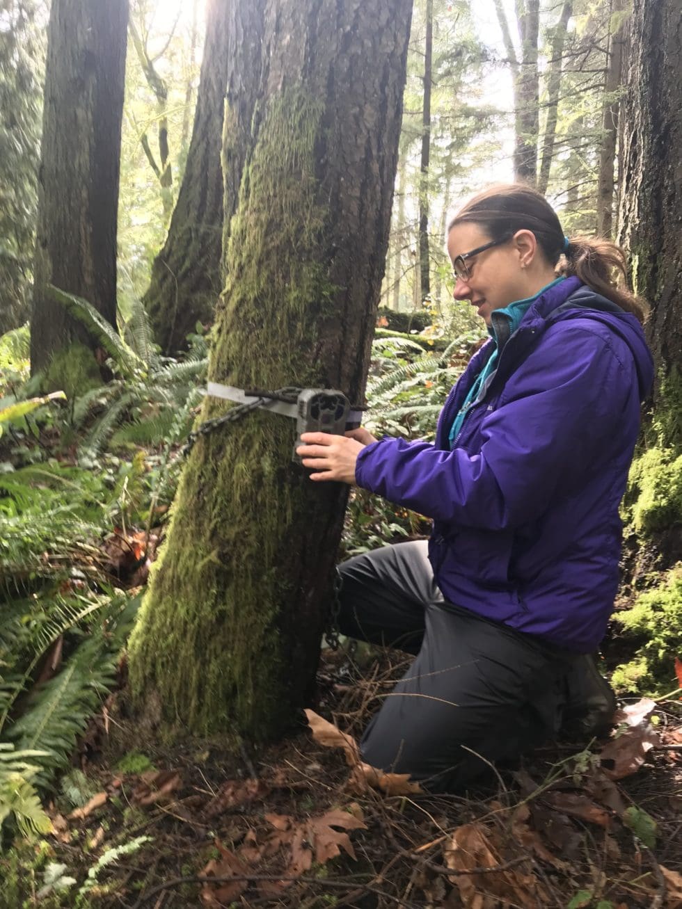Guided Nature Walk: Uplands Wildlife Walk | SHADOW