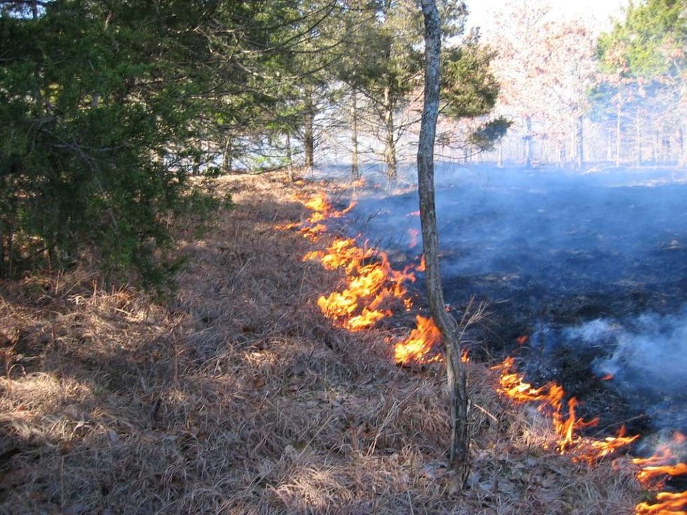Indigenous Fire Practices Shape our Land | SHADOW